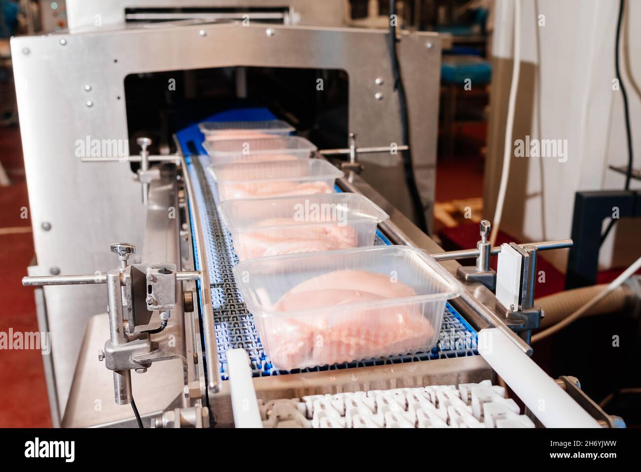 Meat processing plant.Chicken fillet production line .Automated ...