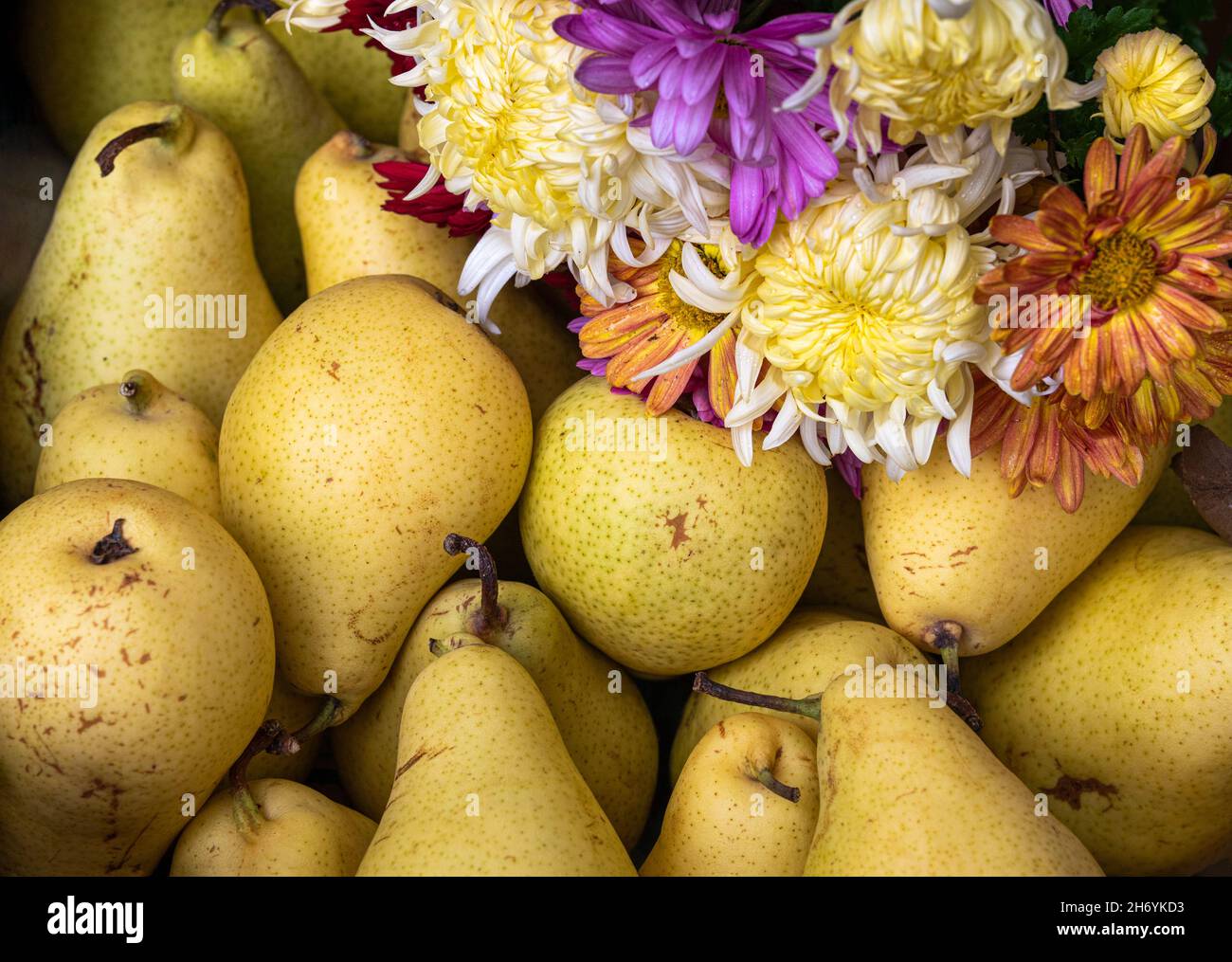 Ripe yellow pears with autumn bouquet of flowers. Harvest of delicious ...