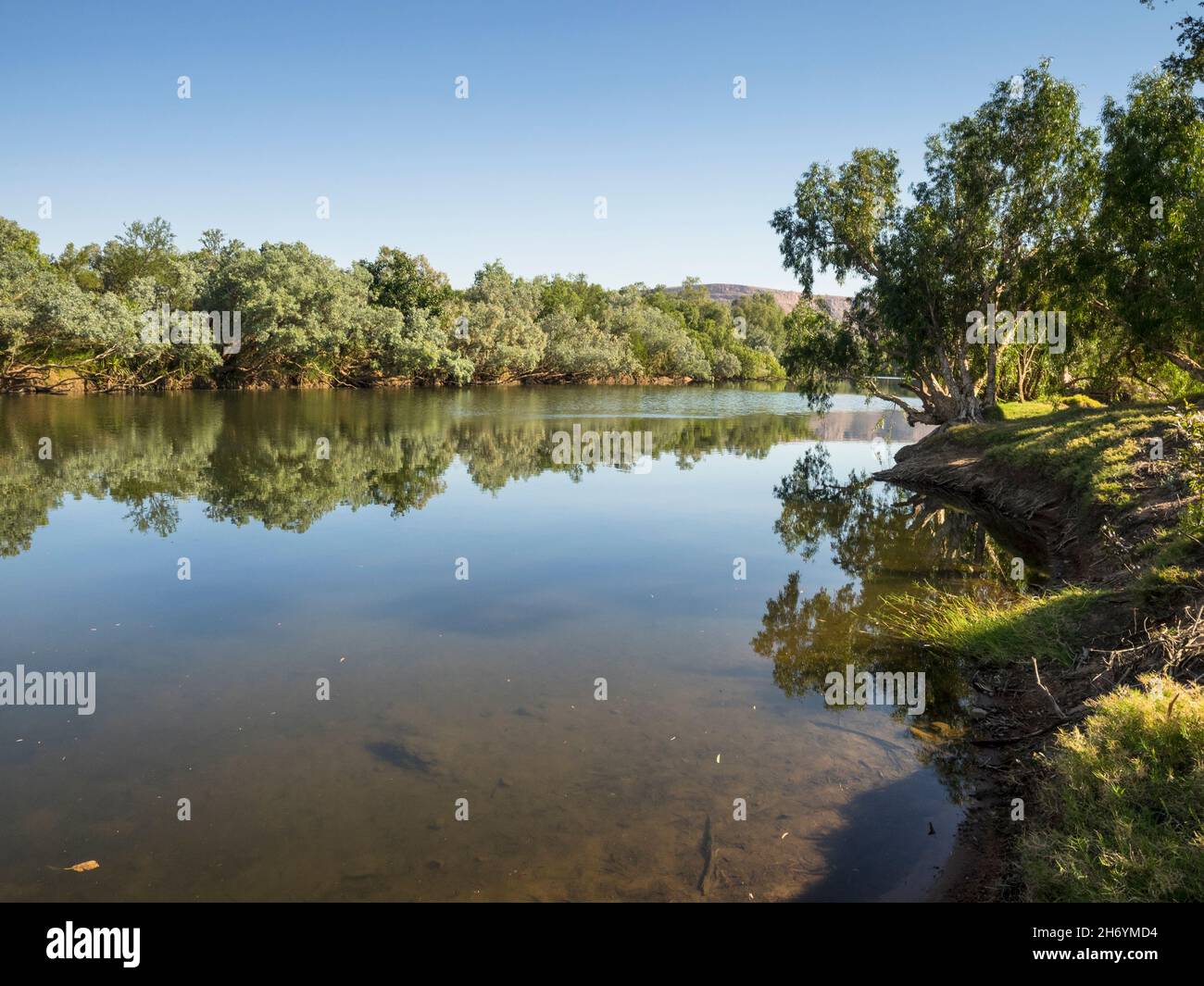 Fitzroy River at Cadjeput Hole, Mornington, KImberley, Western ...