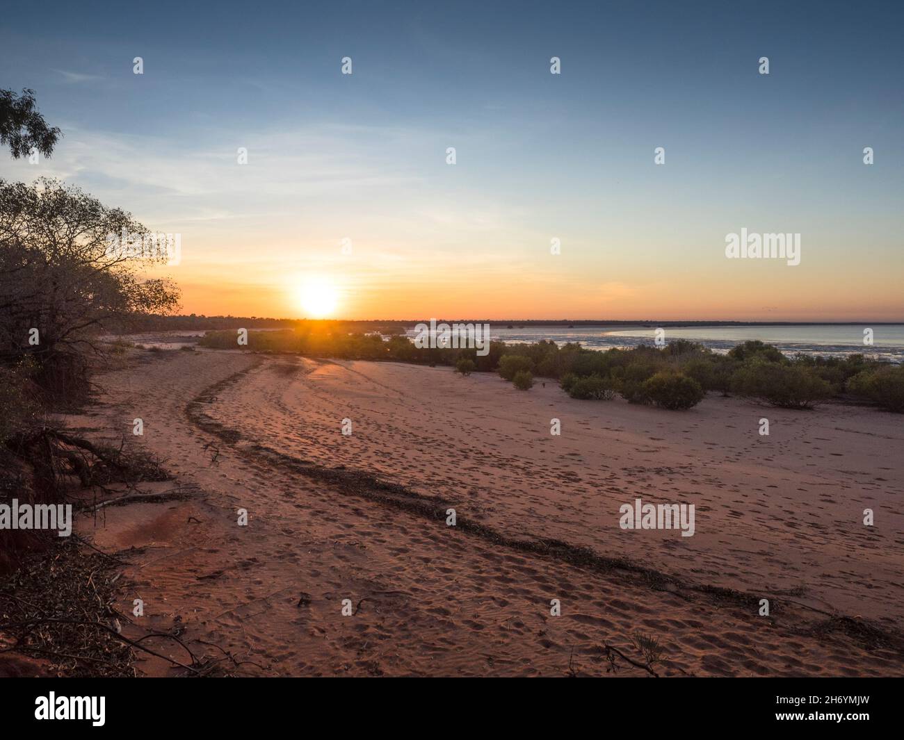 Mud crab kimberley australia hi-res stock photography and images - Alamy