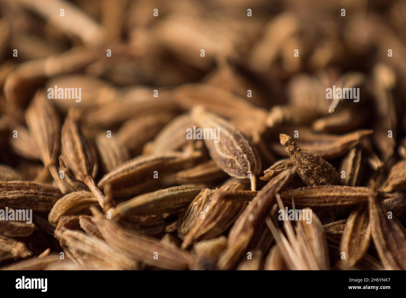Macro of some little cumin seeds in a grain storage Stock Photo - Alamy