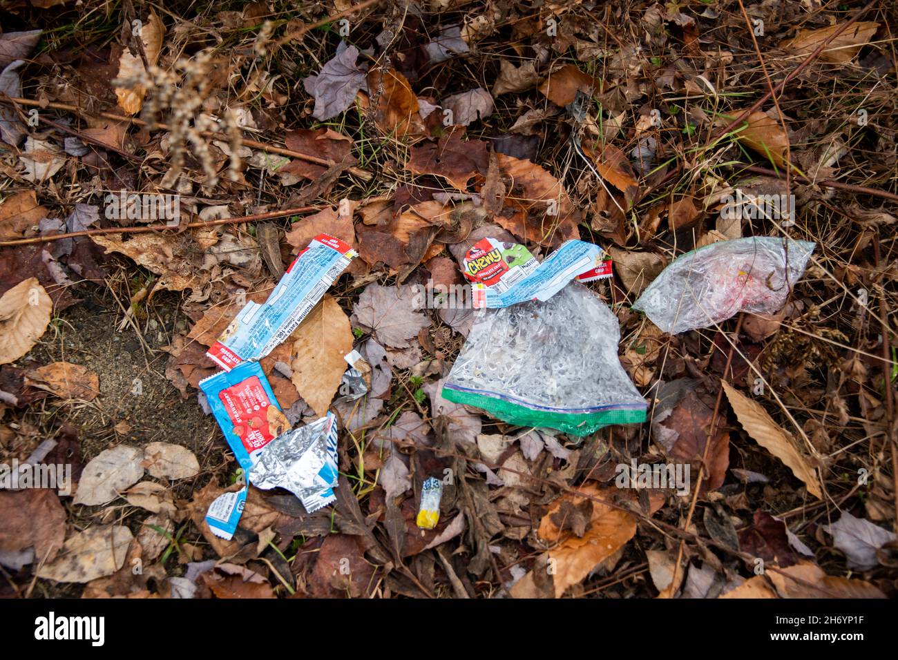 A pile of trash litter from lunch dropped in the Adirondack Mountains ...