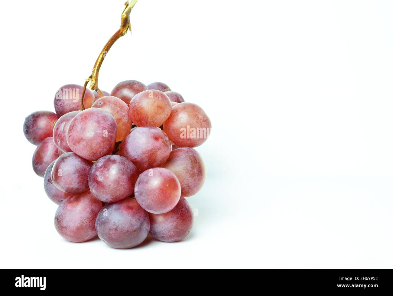 Vertical shot of ripe purple grape cluster isolated on white background ...