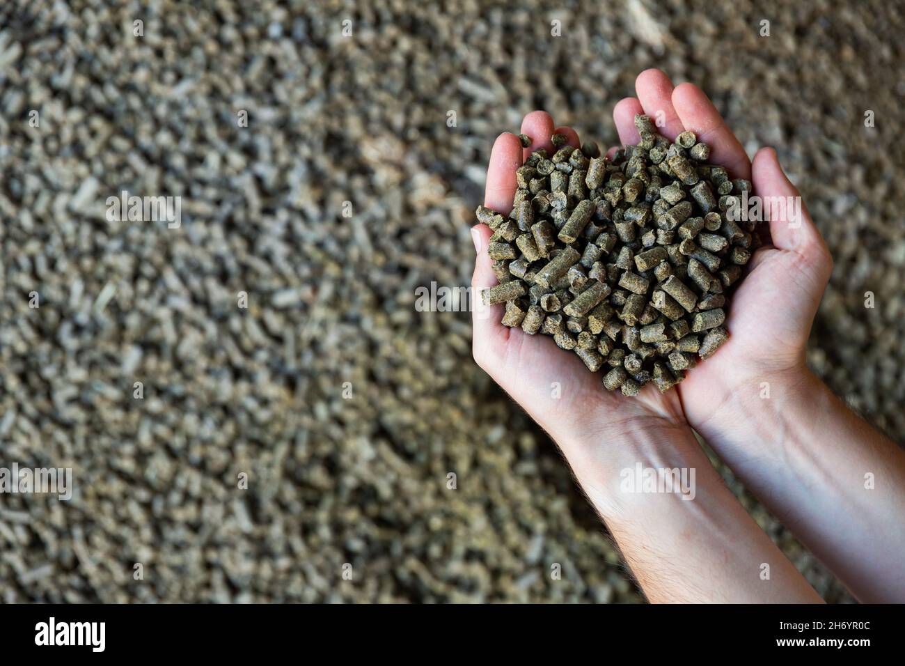 Rapeseed cake hi-res stock photography and images - Alamy