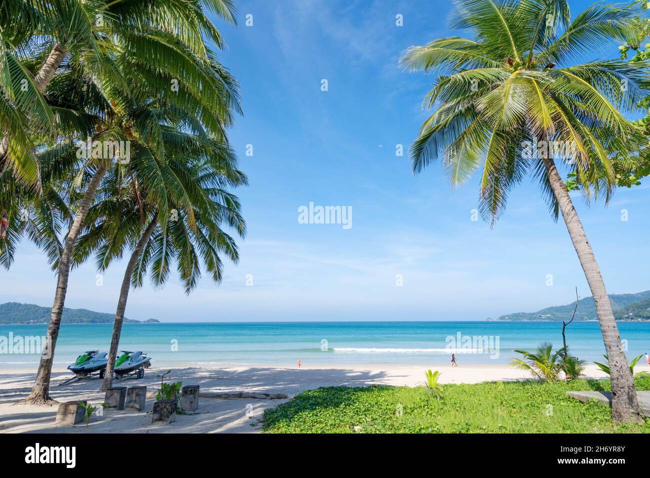 Phuket patong beach Summer beach with palms trees around in Patong ...