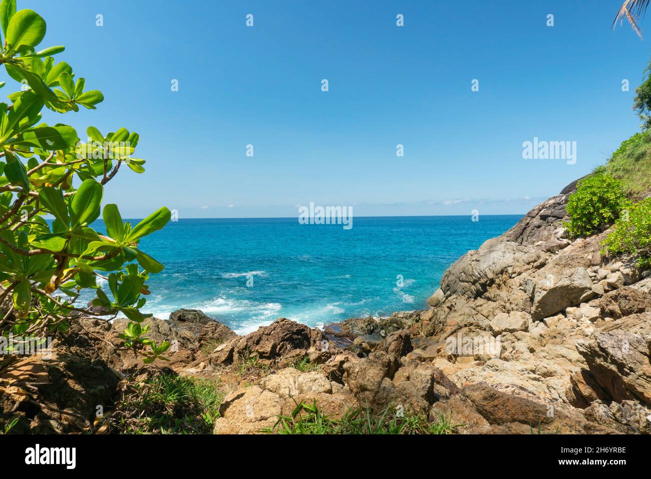 Seashore tree hi-res stock photography and images - Alamy