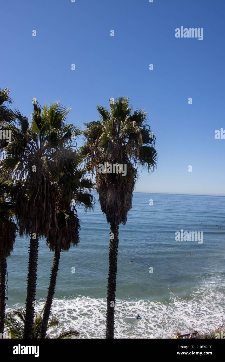 Avocado toast California style with fresh fruit Stock Photo - Alamy