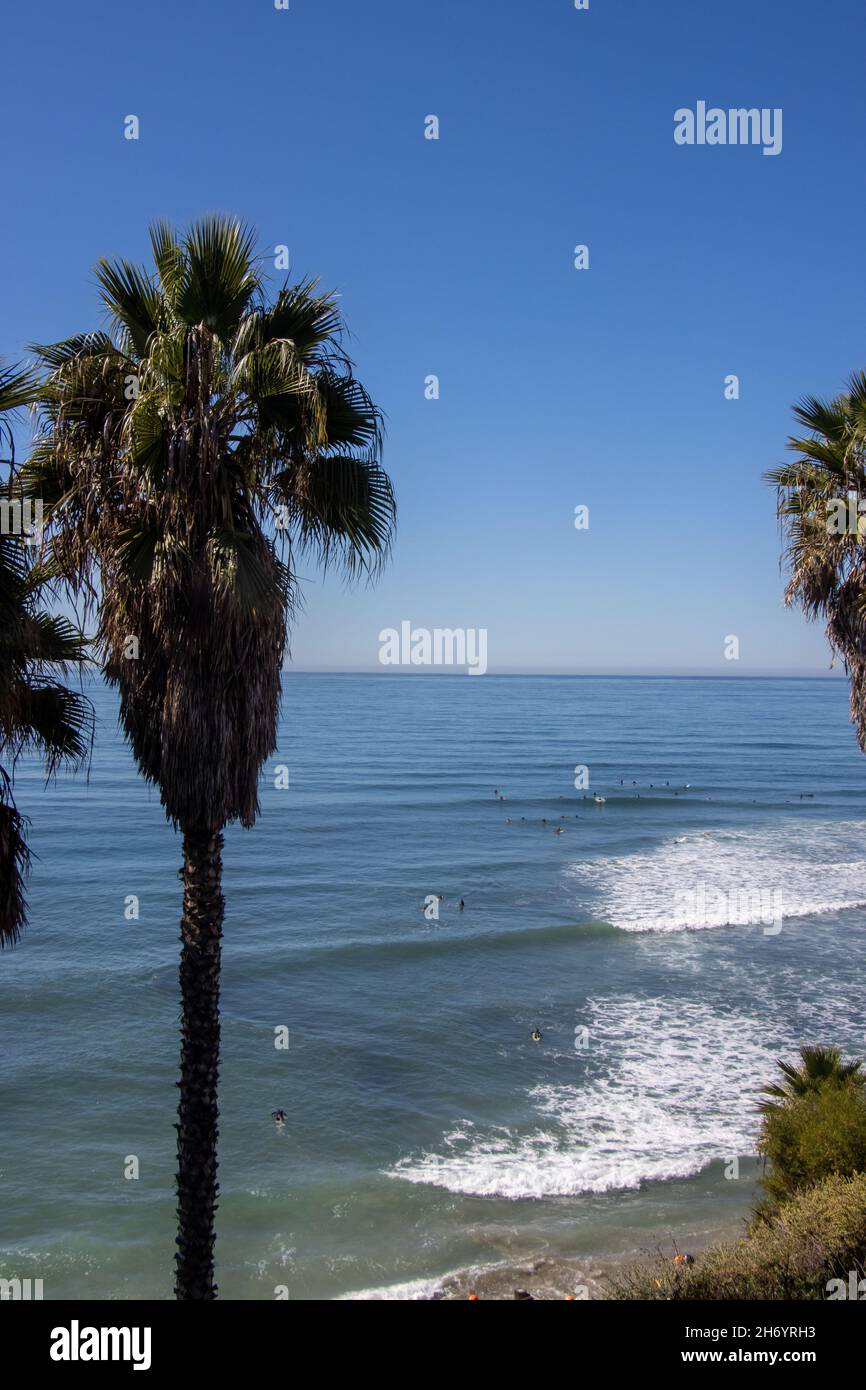 Avocado toast California style with fresh fruit Stock Photo - Alamy