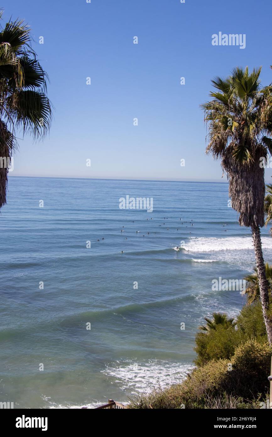 Avocado toast California style with fresh fruit Stock Photo - Alamy