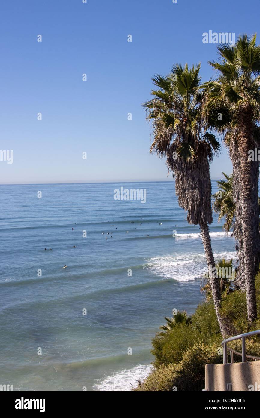 Avocado toast California style with fresh fruit Stock Photo - Alamy
