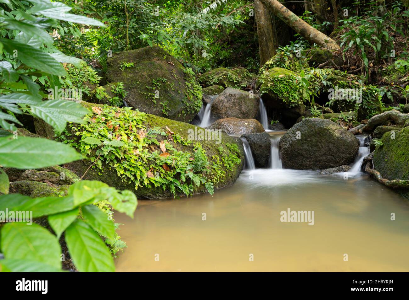 Beautiful small Waterfall in rainforest Abundant trees Long exposure ...
