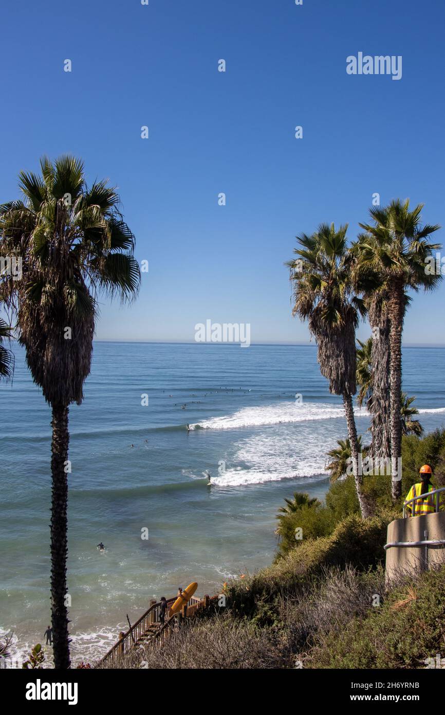 Avocado toast California style with fresh fruit Stock Photo - Alamy