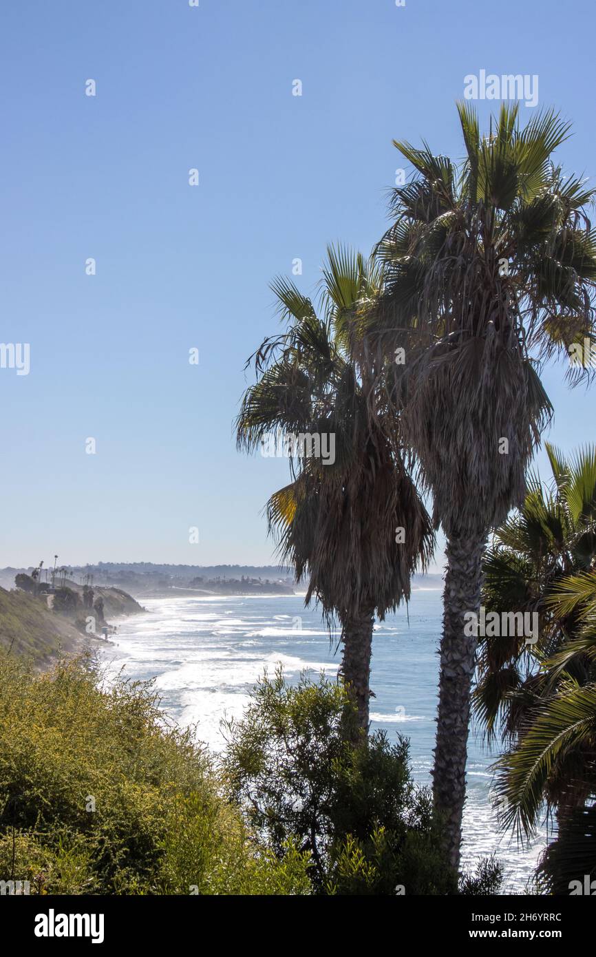 Avocado toast California style with fresh fruit Stock Photo - Alamy