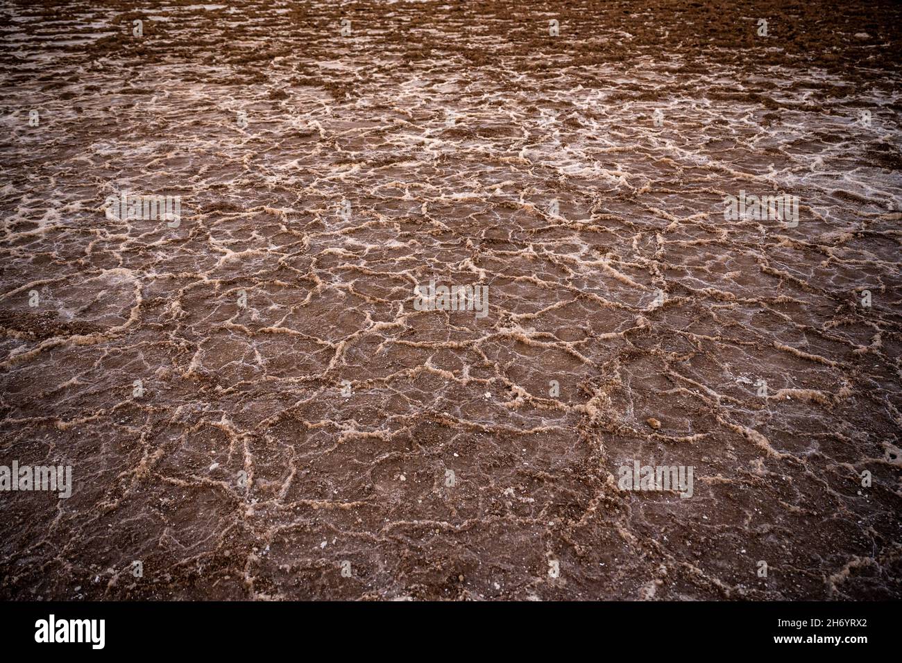 Salt flat texture hi-res stock photography and images - Alamy