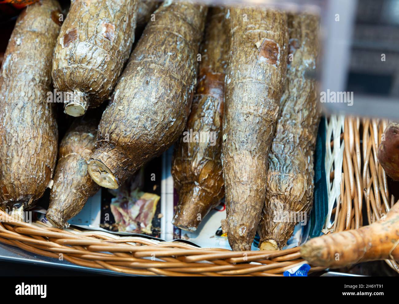 Cassava stem hi-res stock photography and images - Alamy