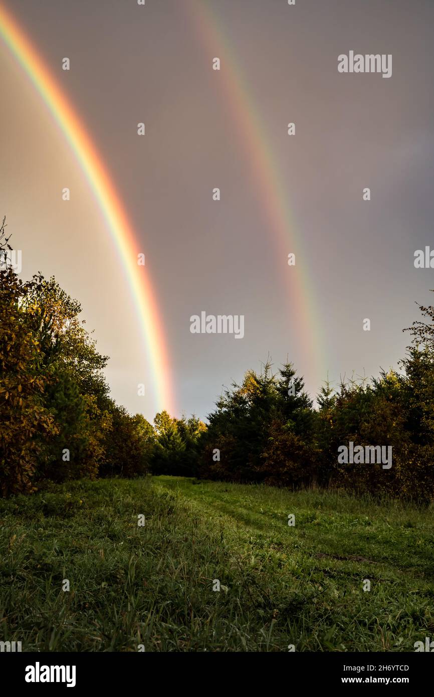 Vertical shot of a double rainbow on a cloudy sky above a park covered ...