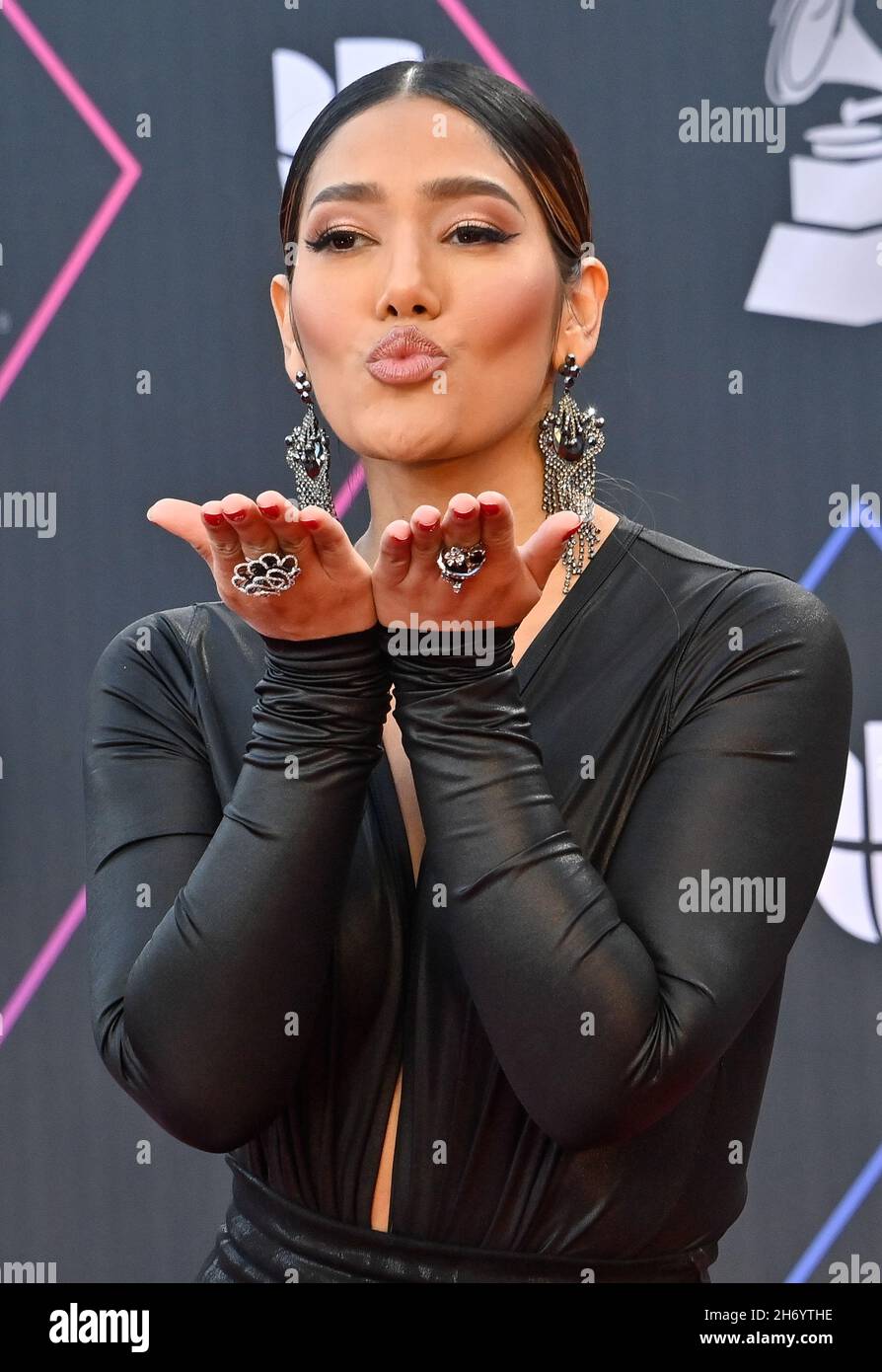 Nevada, United States. 18th Nov, 2021. Farina arrives for the 22nd ...