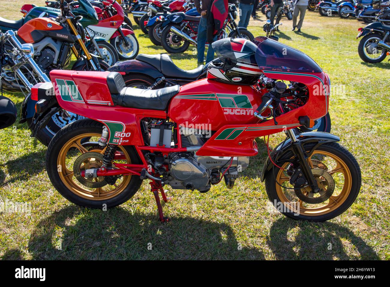 Classic Ducati 600 Pantah Desmo at a bike show near brisbane Stock ...