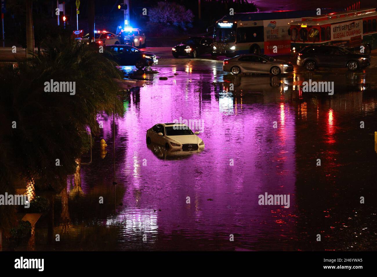 Flooding florida 2021 hi-res stock photography and images - Alamy