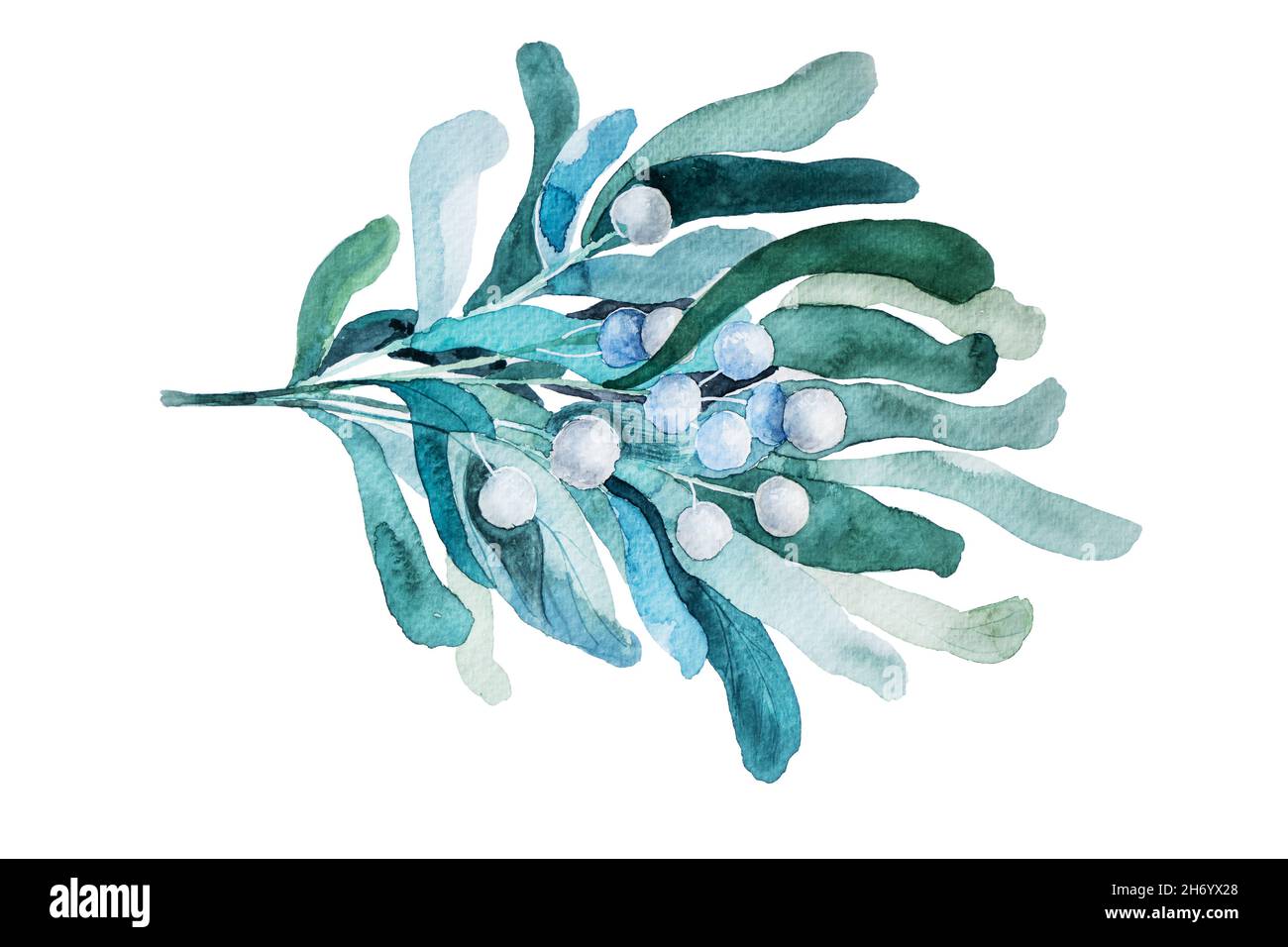 Sprig of mistletoe with white berries isolated on white background ...