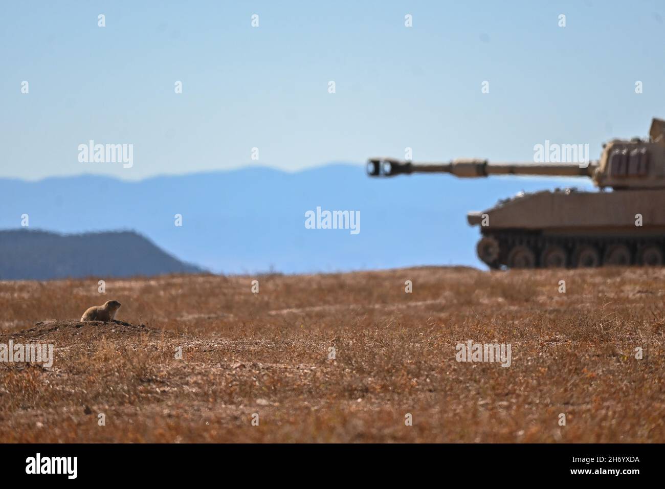 A prairie dog watches as Soldiers assigned to 3rd Battalion, 29th Field ...