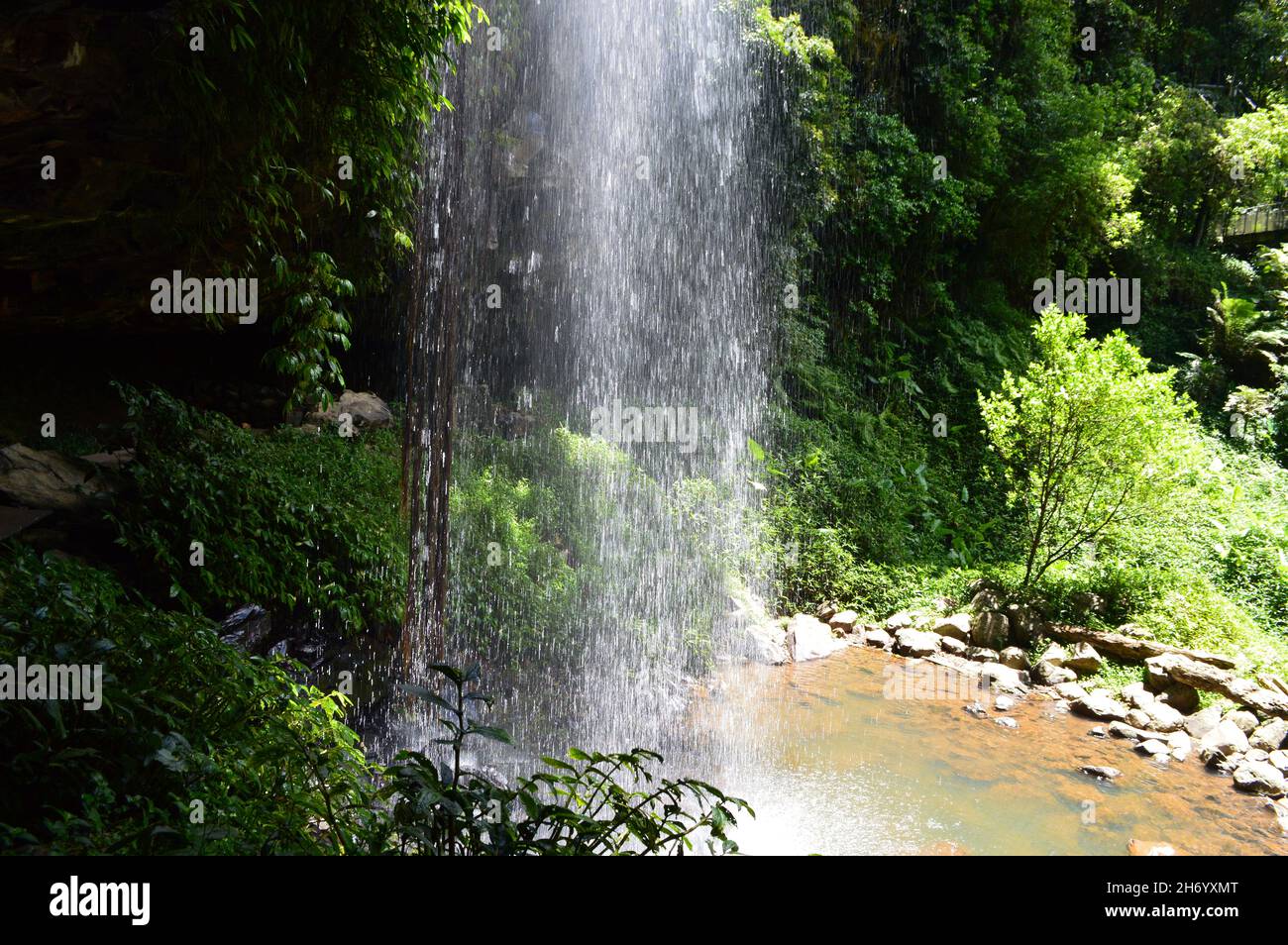Crystal shower falls hi-res stock photography and images - Alamy