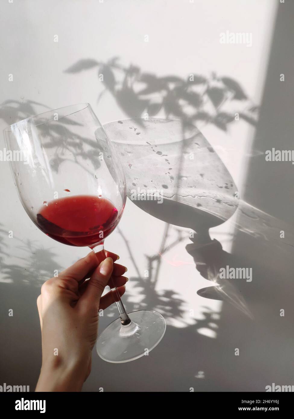 Long shadows winery hi-res stock photography and images - Alamy