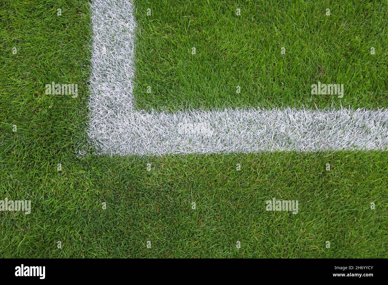 White stripe on green grass on the playing field Stock Photo - Alamy