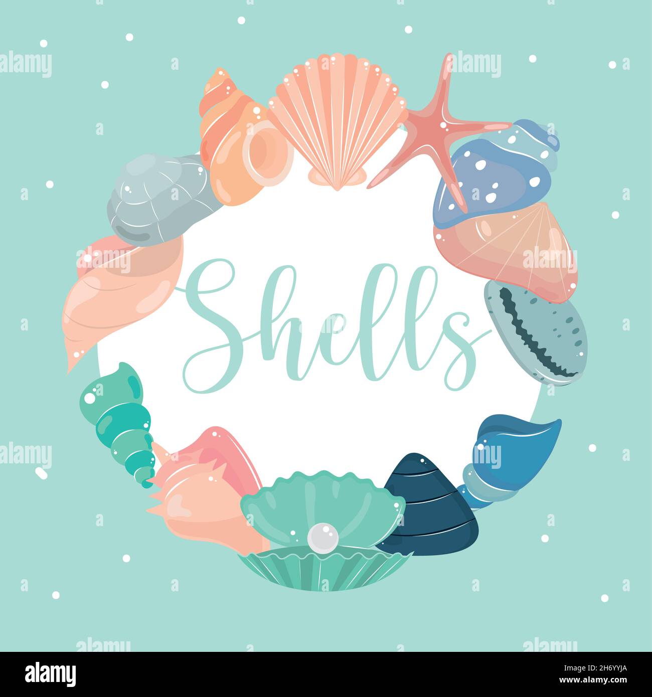 shells marine life Stock Vector Image & Art - Alamy