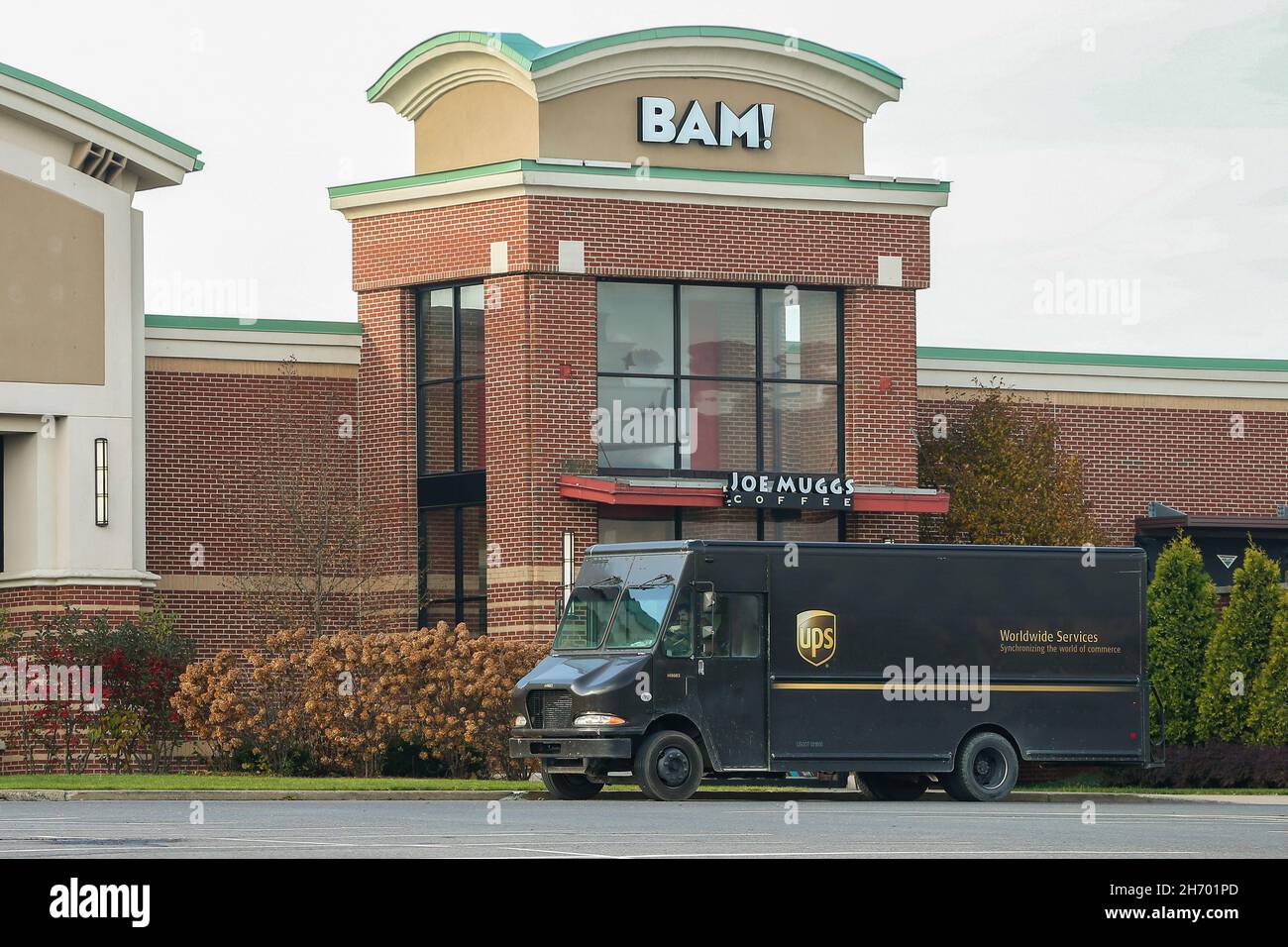 Joe Muggs Carmel Frap