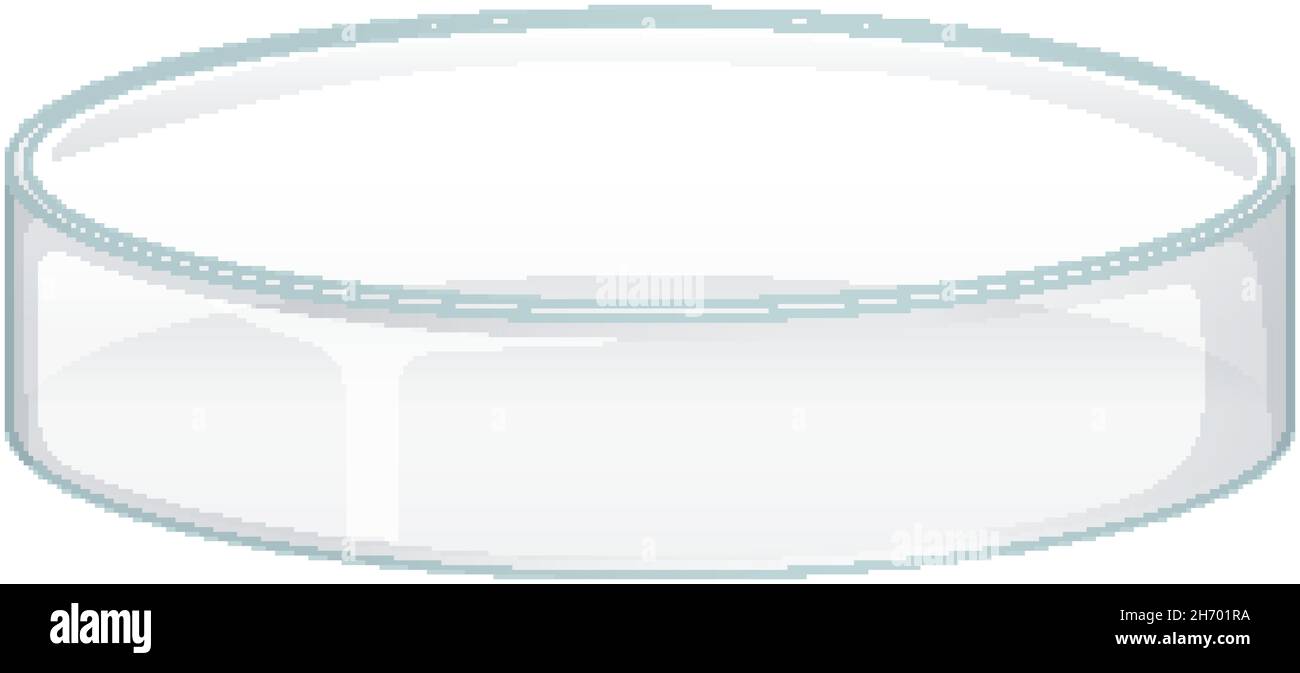 Simple transparent glass container illustration Stock Vector Image ...