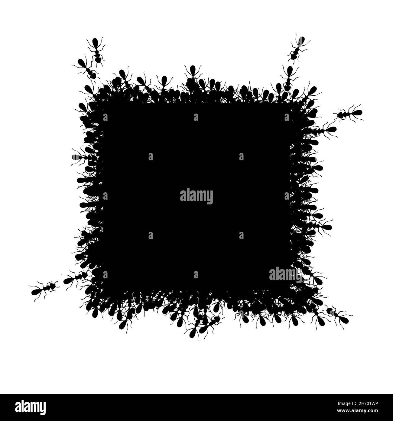 Black ants square border. Ants forming rectangular shape isolated in white background. Vector ...