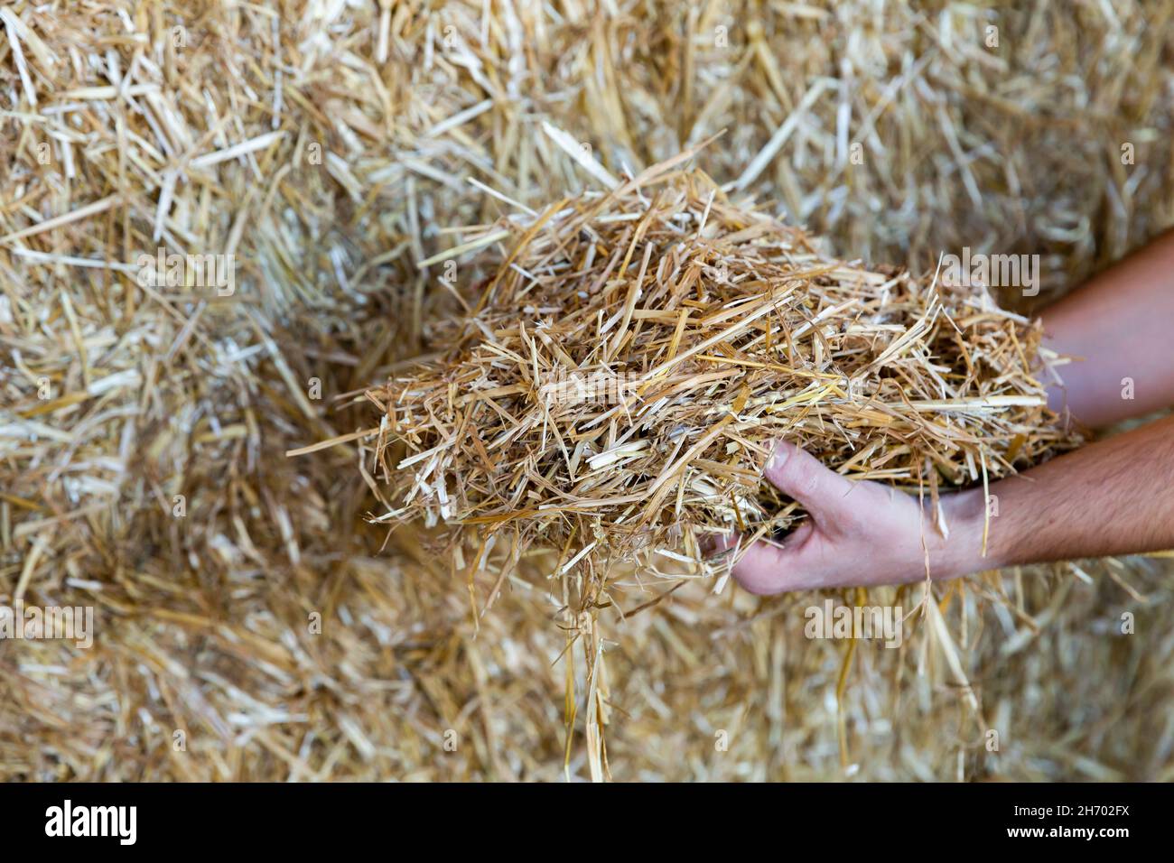 Manufacturing hay hi-res stock photography and images - Alamy