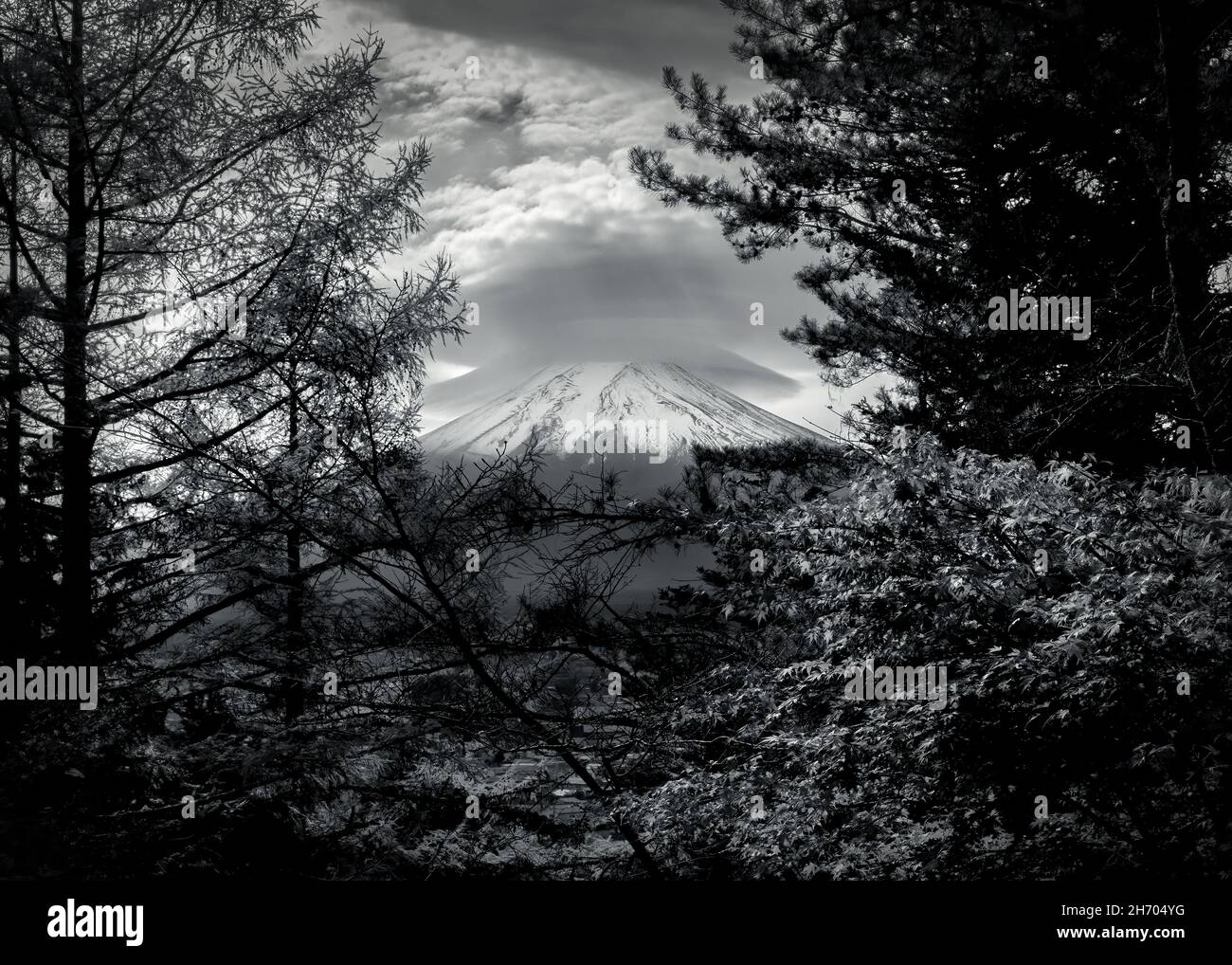 Mount Fuji as seen through a forest near Fujiyoshida, Japan Stock Photo ...