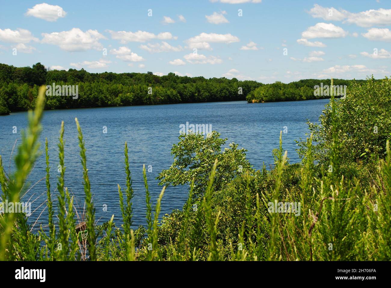 Clean ecosystem nature landscapes hi-res stock photography and images ...