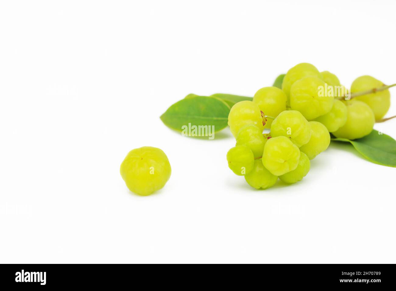 Amla background hi-res stock photography and images - Alamy