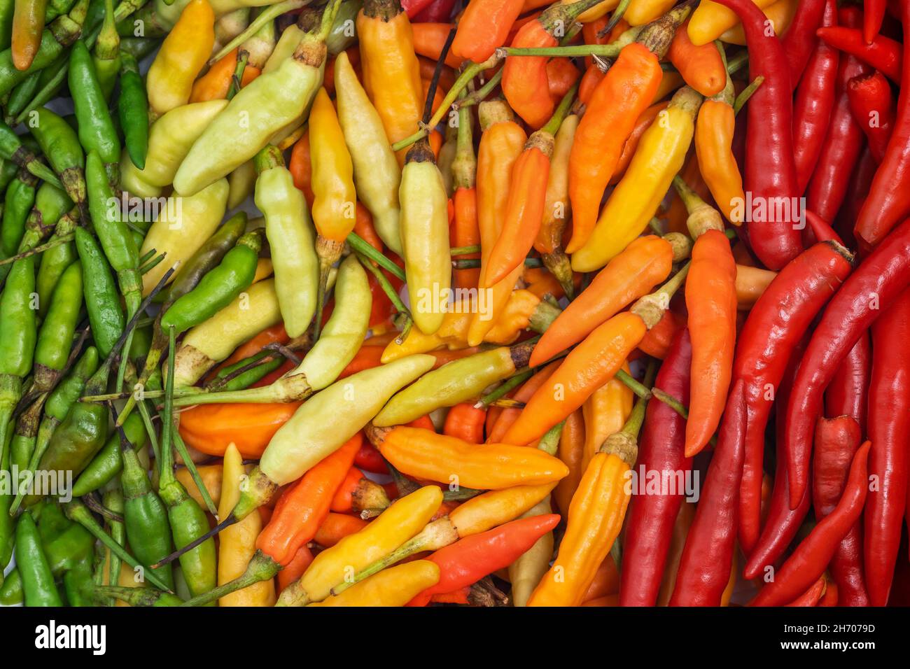 Several kinds of pepper food background Stock Photo - Alamy