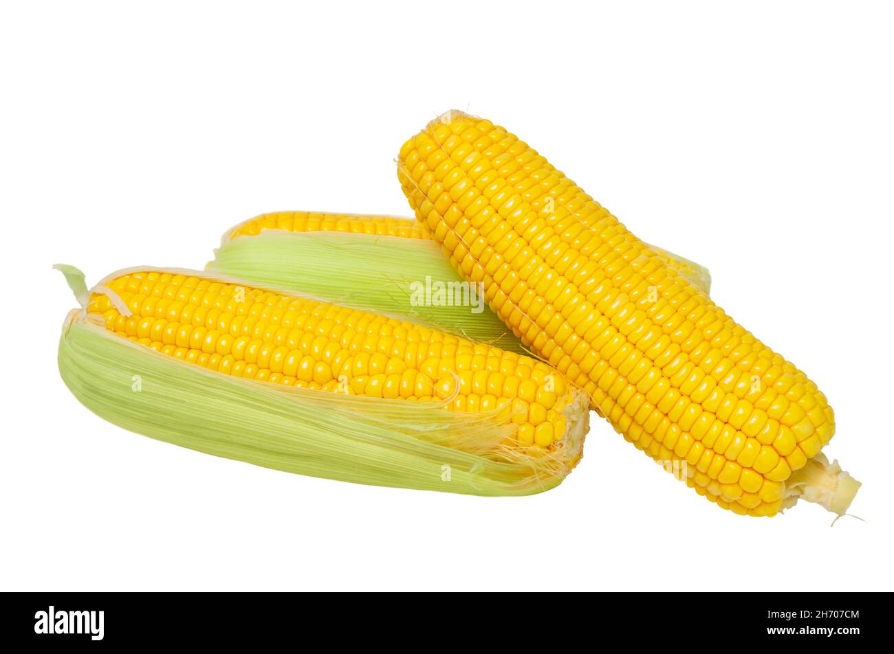 Three cobs of corn isolated on white background Stock Photo - Alamy