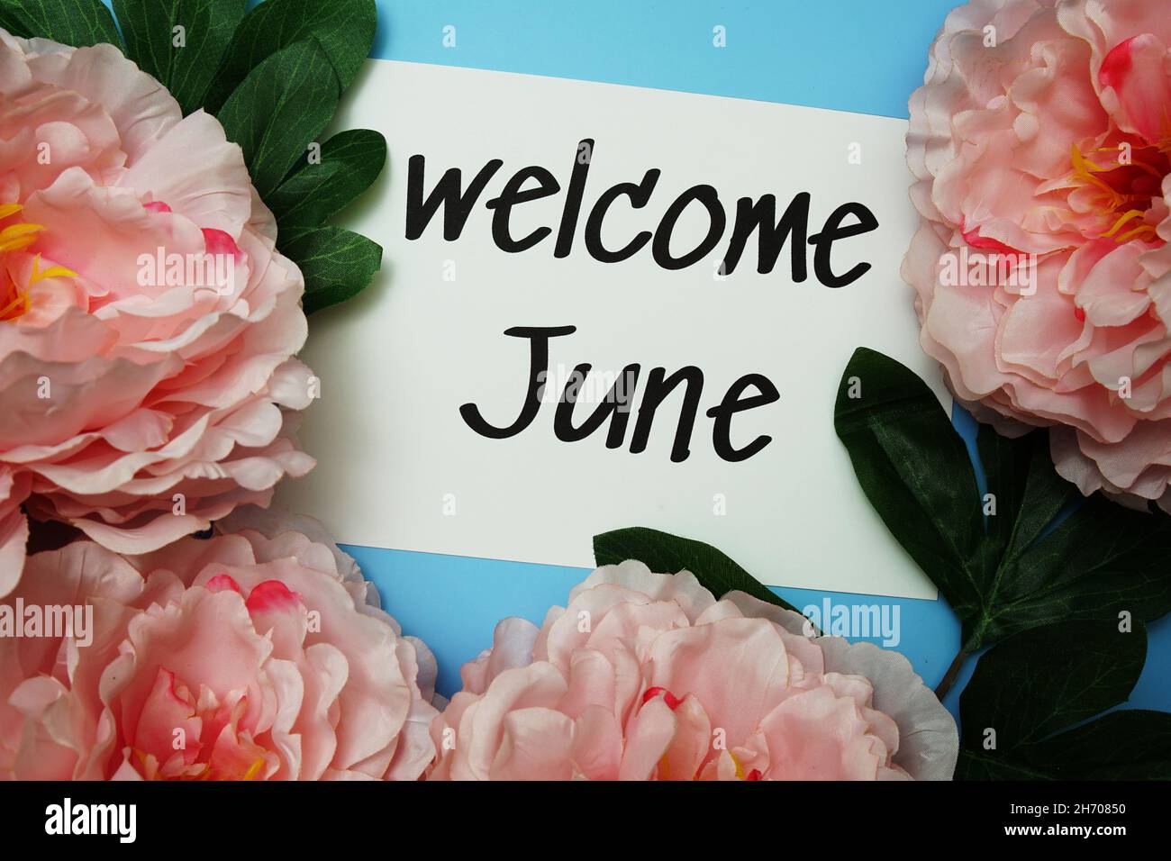 Welcome June typography text with peony flowers on blue background ...