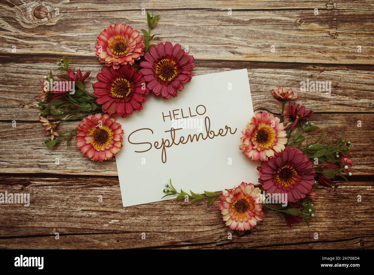 Hello September typography text with flowers on wooden background Stock ...