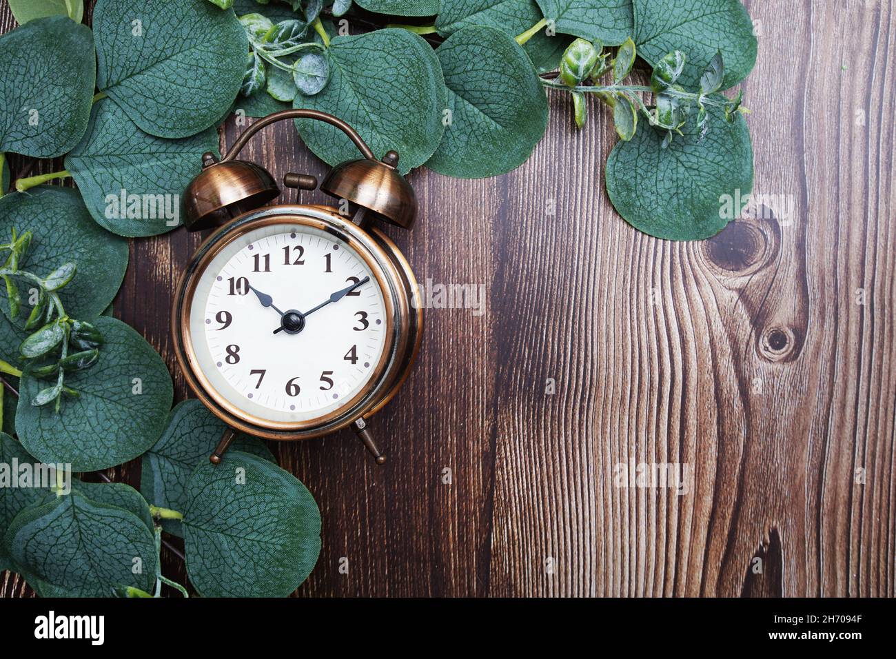 Alarm clock with eucalyptus leaves decorate on wooden background Stock ...