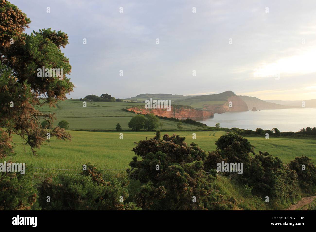 Brandy Head. The England south west coast path. South Devon. England ...