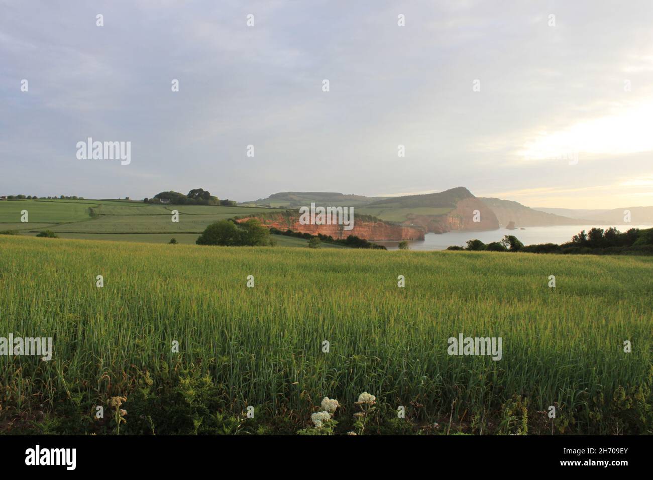 Brandy Head. The England south west coast path. South Devon. England ...