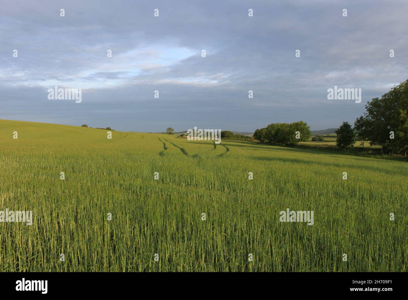 Brandy Head. The England south west coast path. South Devon. England ...