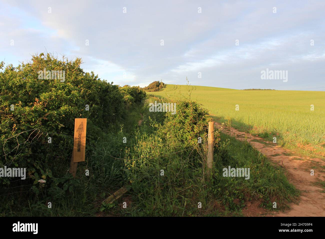 Brandy Head. The England south west coast path. South Devon. England ...