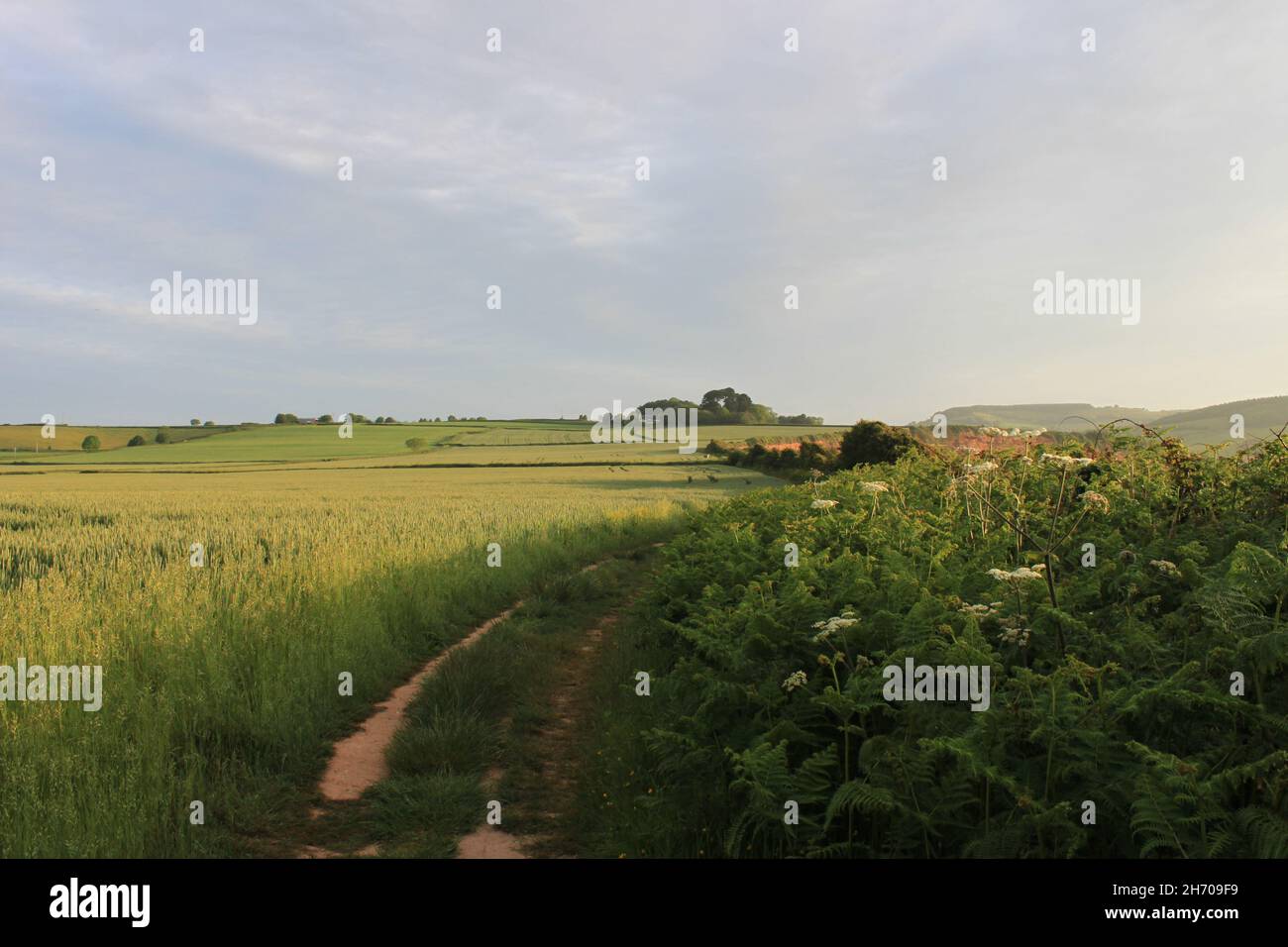 Brandy Head. The England south west coast path. South Devon. England ...