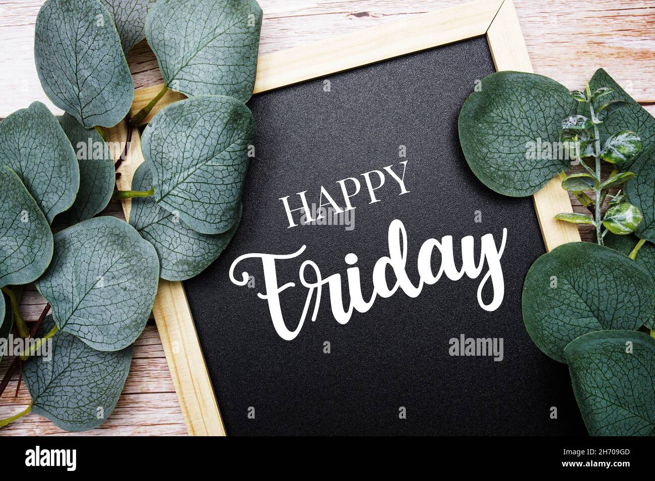 Happy Friday typography text and eucalyptus leaves border frame on ...