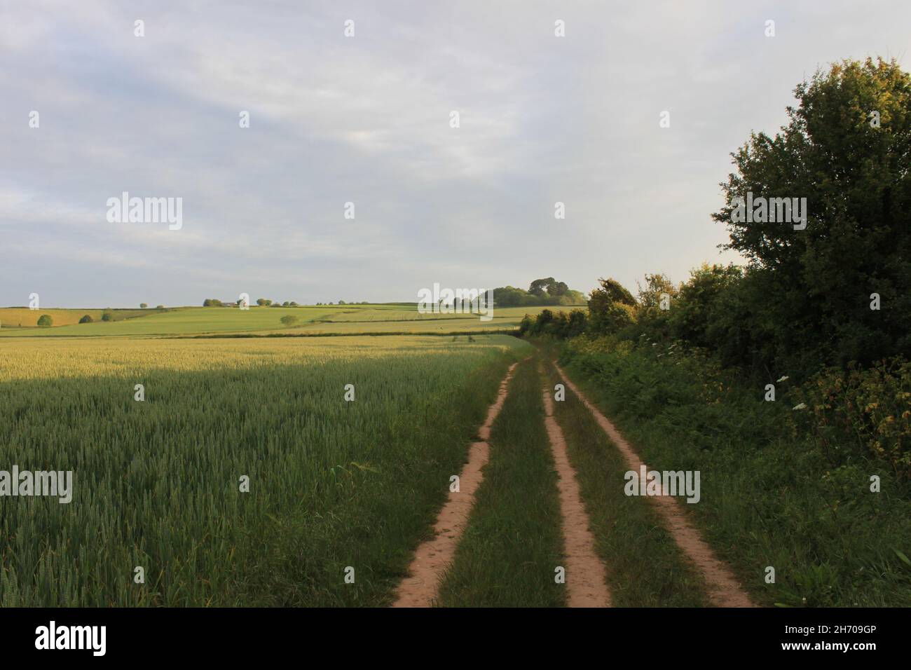 Brandy Head. The England south west coast path. South Devon. England ...