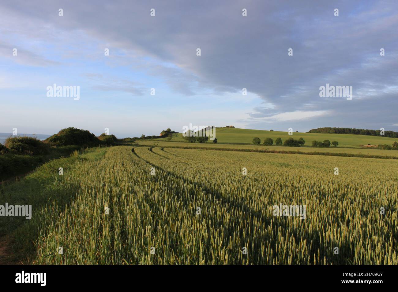 Brandy Head. The England south west coast path. South Devon. England ...