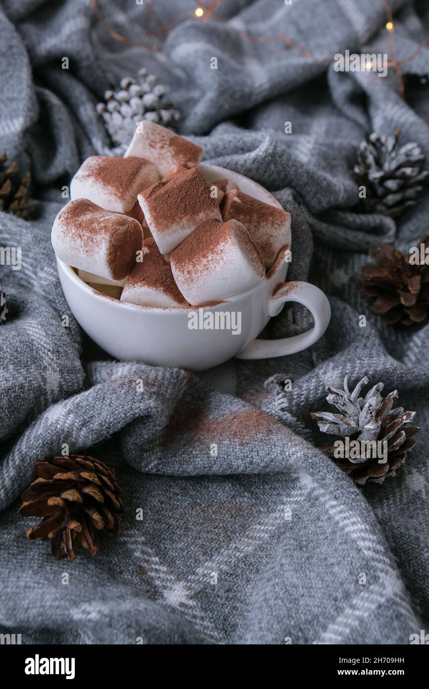 Cocoa drink with marshmallow and cacao powder on cozy winter sweater ...